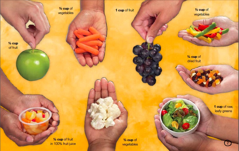 » A “handy” guide to portion sizes » A “handy” guide to portion sizes